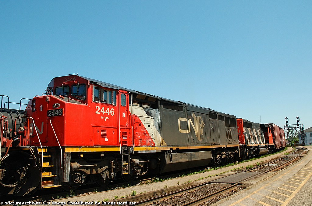 CN 2446